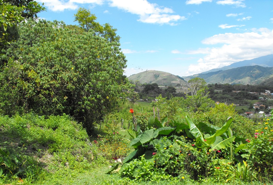 Earth - Simply Sustainable