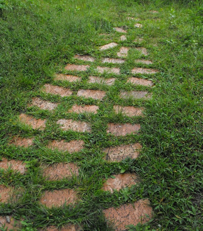 Steps2Sustainability - Simply Sustainable