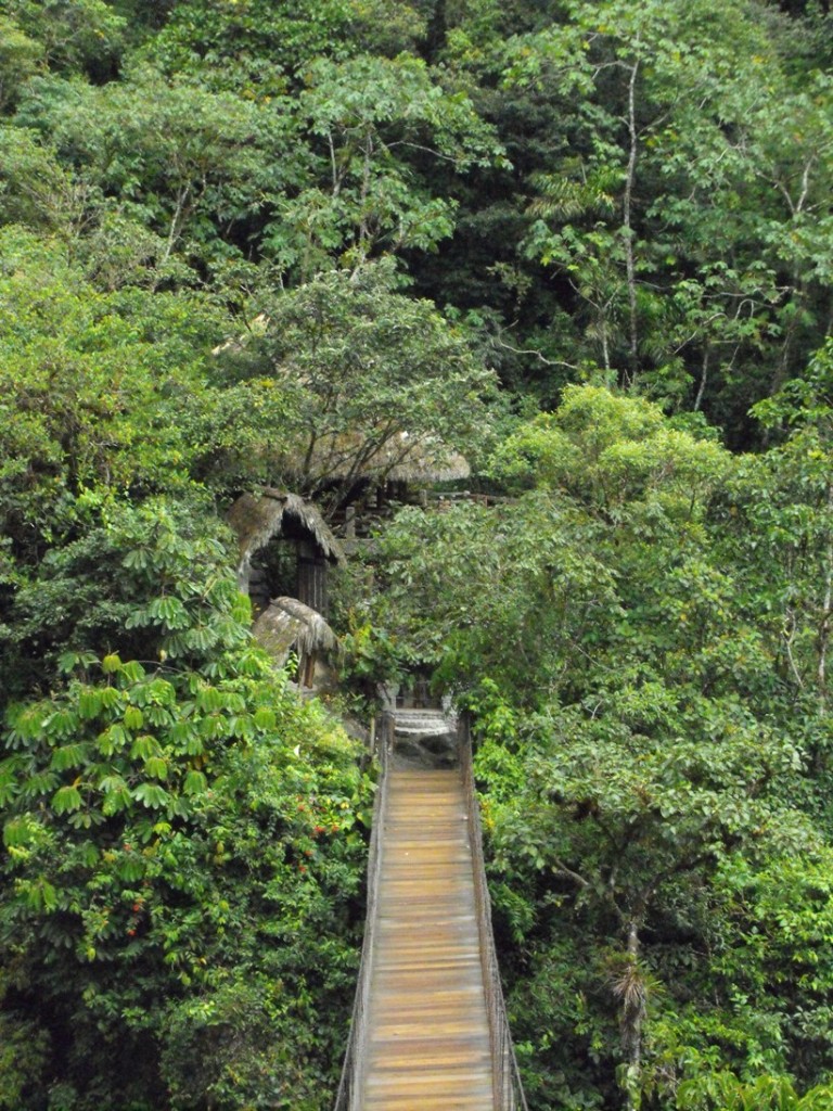 Looking to Build Bridges and Narrow Gaps in Your Community? - Simply ...